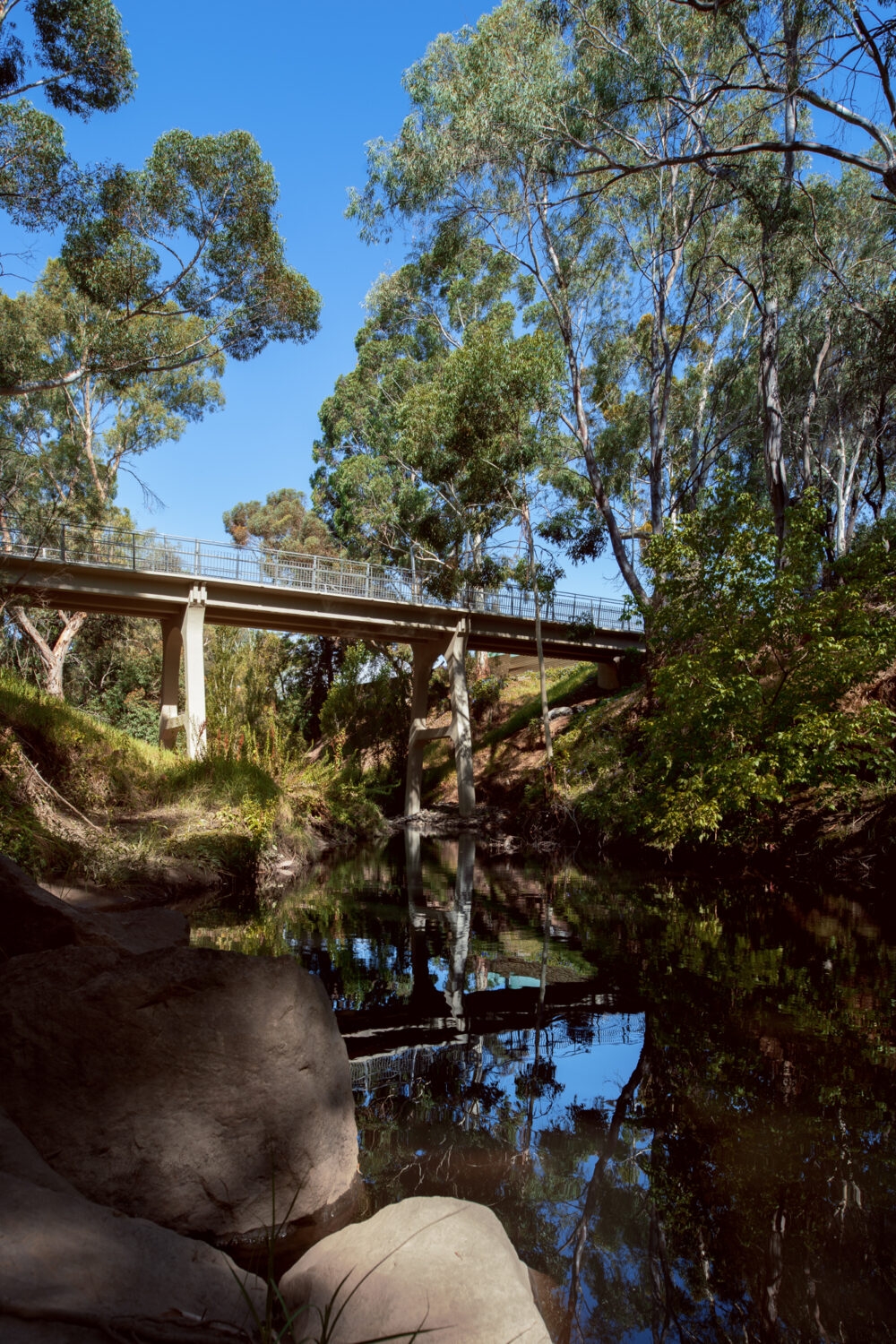 Sir William Goodman Bridge - SMFA
