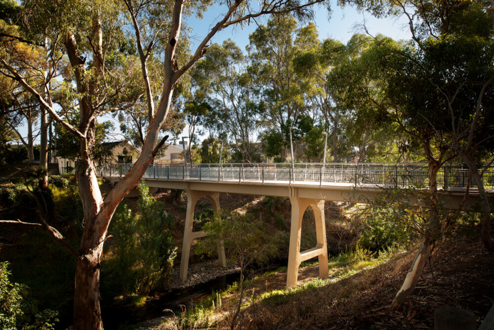 Sir William Goodman Bridge - SMFA