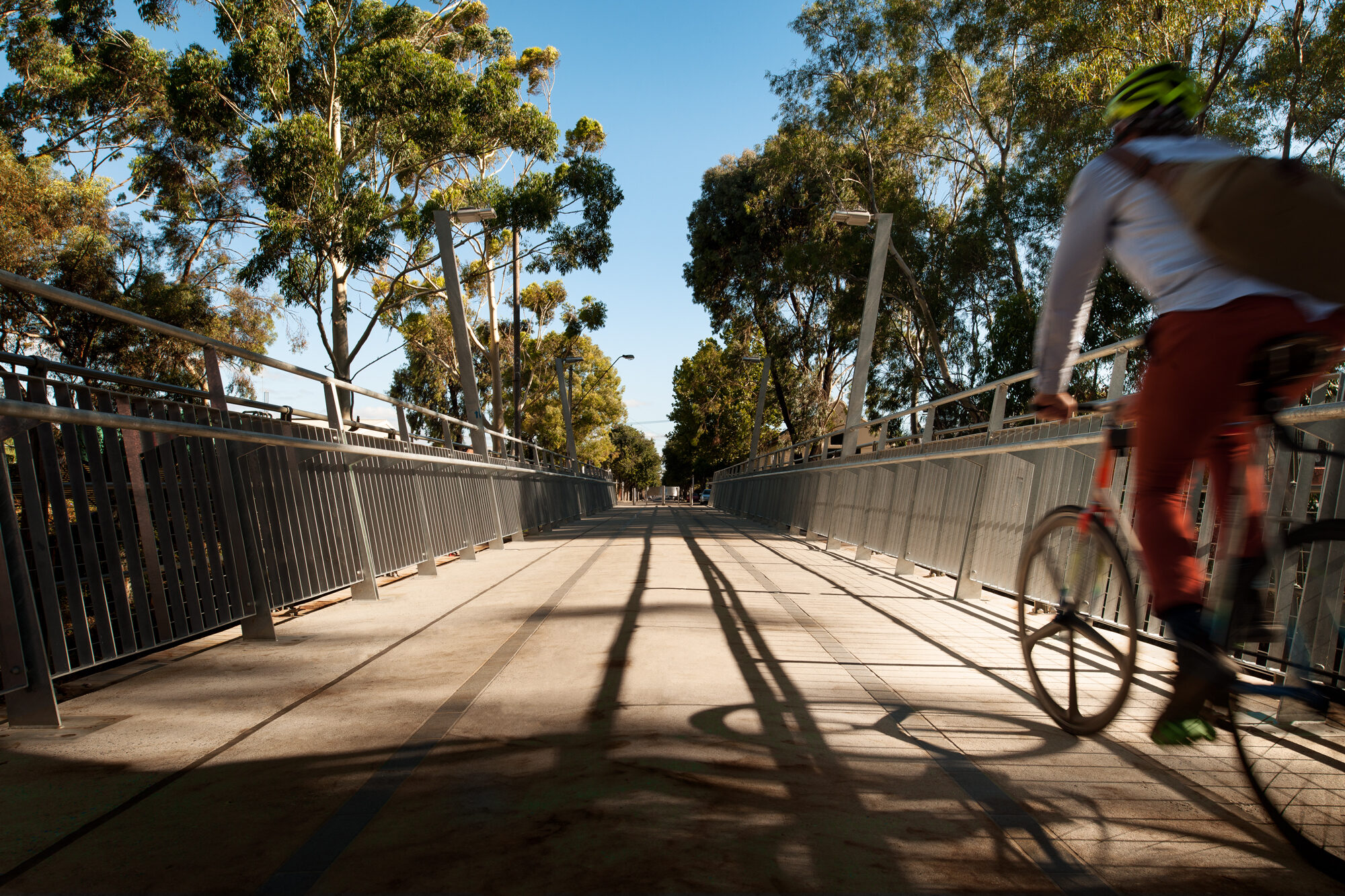 Sir William Goodman Bridge - SMFA