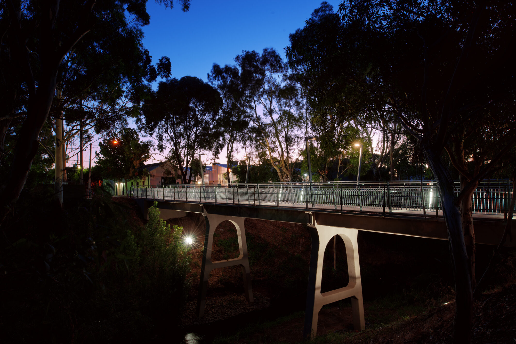 Sir William Goodman Bridge - SMFA