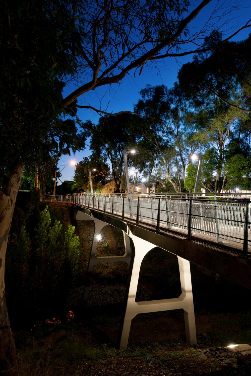 Sir William Goodman Bridge - SMFA